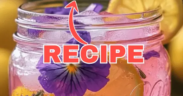 Violet Dandelion Lemonade: A Refreshing DIY Craft You Will Love ...