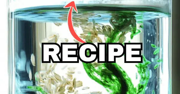Dancing Rice Science Experiment: A Fun and Fizzy DIY Craft for Curious ...