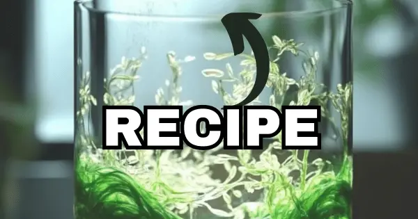 Dancing Rice Experiment2: A Fun and Educational DIY Science Activity ...