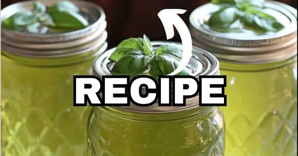 Basil Jelly Recipe: A Fresh and Flavorful RECIPE for Your Kitchen ...